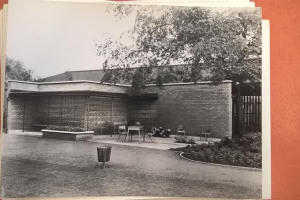 Sayes Court : The Future of the Garden