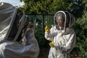 Bee-Spoke Learning Centre