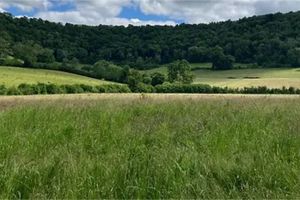 Stroud Waters - a natural outdoor pool