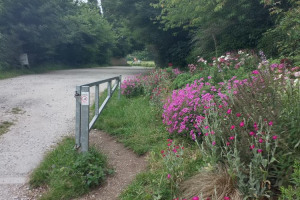 Lets Transform Ness Village Hall