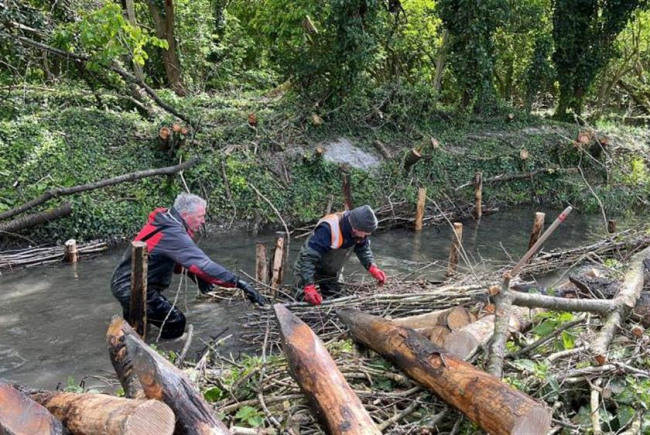 Cambridge City Chalk Streams Project - Projects for Nature