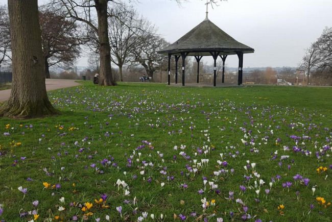 Mountsfield Park - Fox Proof Litter Bins