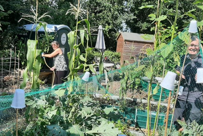 Disabled Portaloo for allotment project