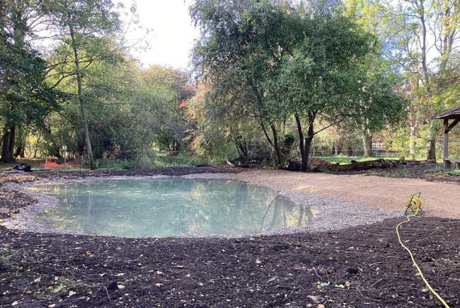 The Powells School Pond - Phase 2
