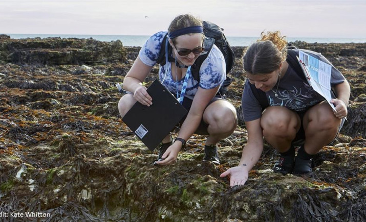 Blue Recovery: People-Powered Ocean Conservation