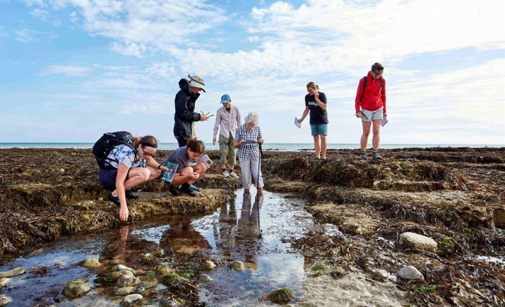 Blue Recovery: People-Powered Ocean Conservation