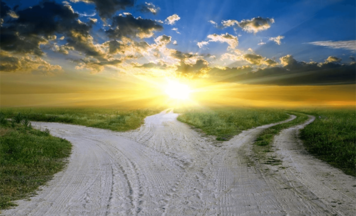 Roots to Resilience: A Pathway to Nature - Updates