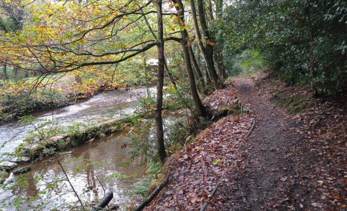 Holme Valley Riverside Way Revamp - Updates